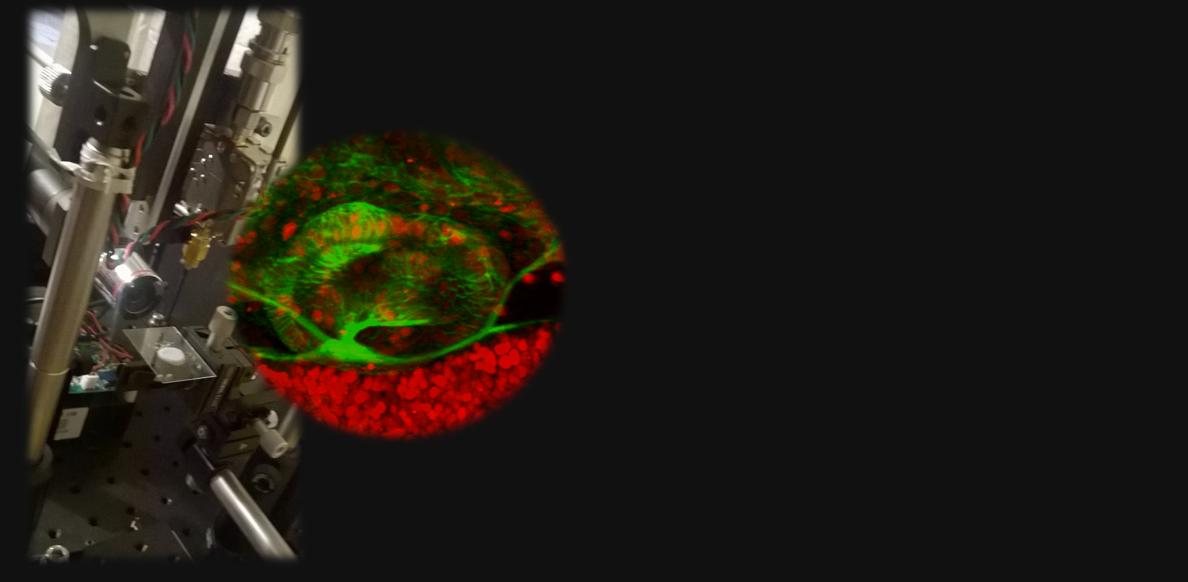 Blog – Aviles-Rendon LAB